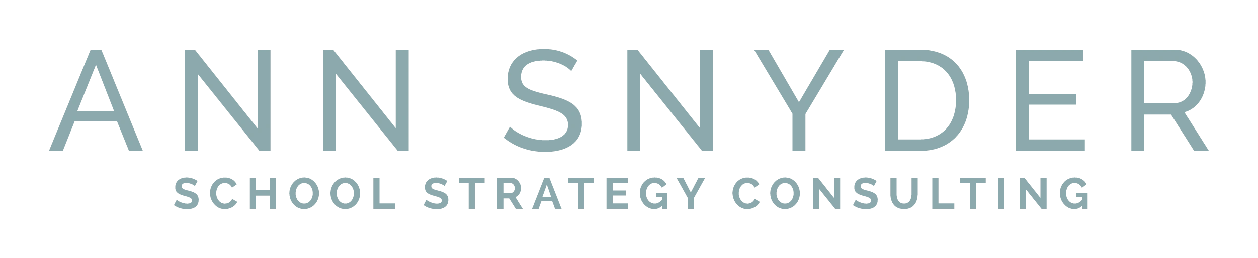 Ann Snyder Consulting