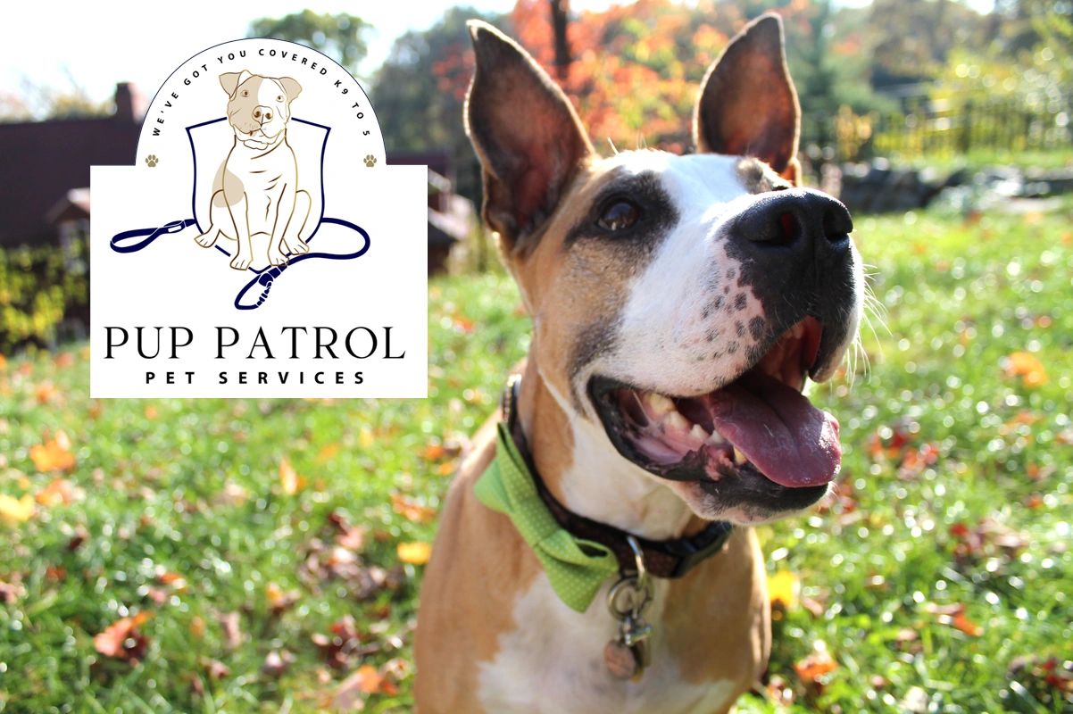 Pet Sitting Services - Dog & Cat Sitting in Midlothian, TX | Pup Patrol ...