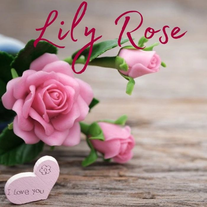 Lily Rose Reiki and Spiritual Healing - Reiki - Aurora, Illinois