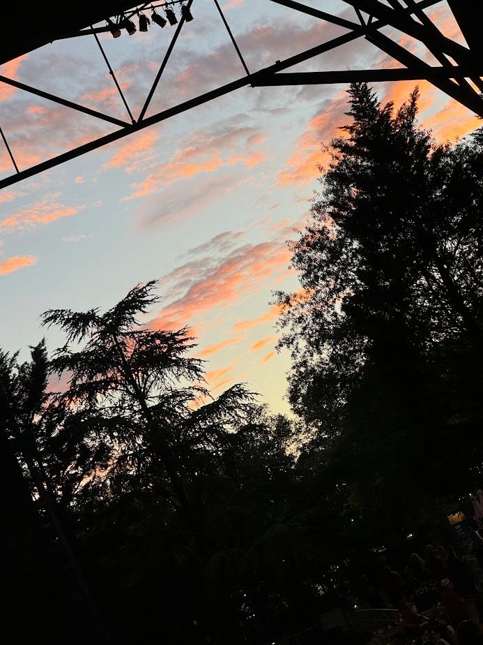 I was left with no choice.