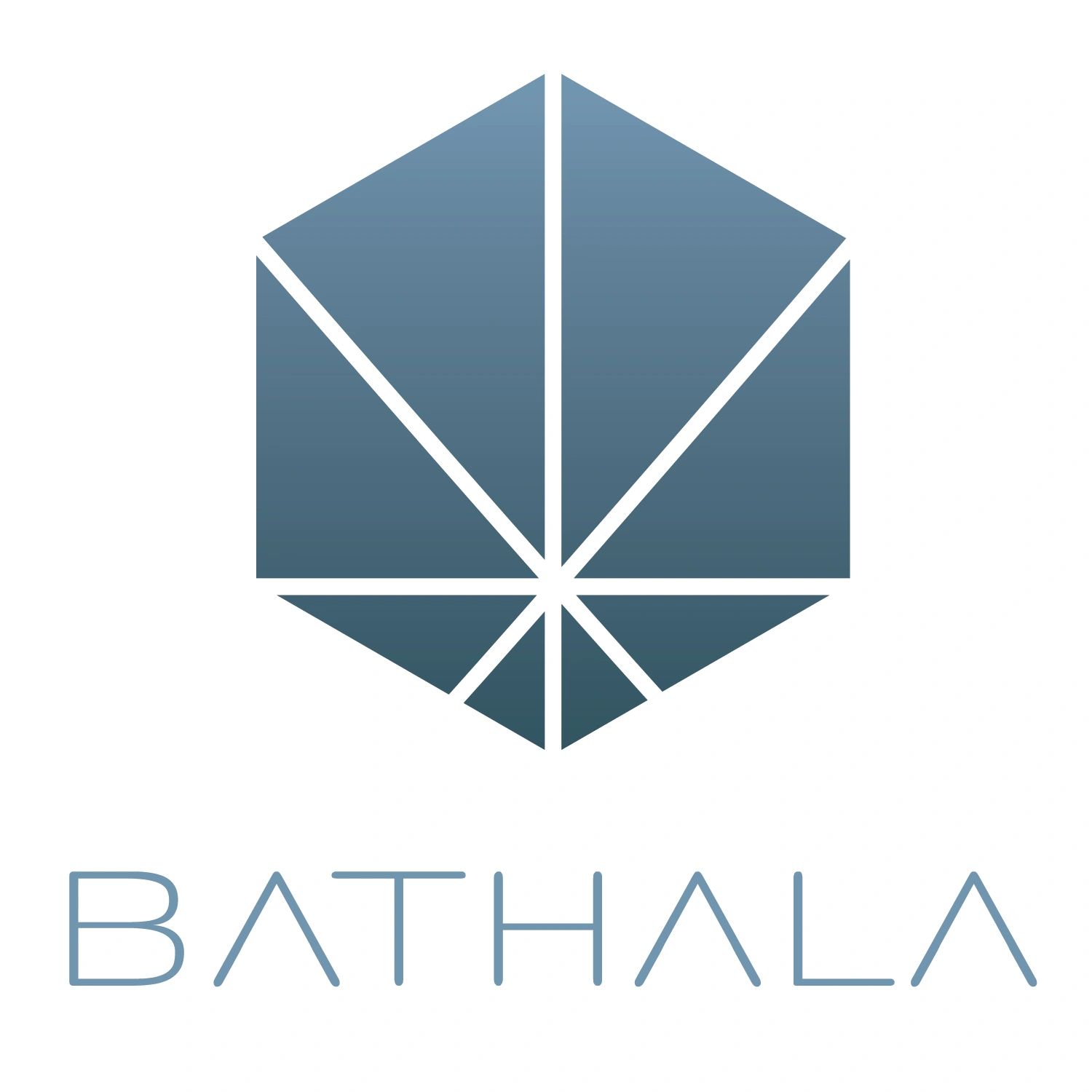 About Us | Bathala Capital LLC