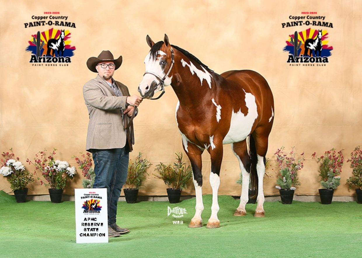 Rusty | Rockin J Bar S Ranch