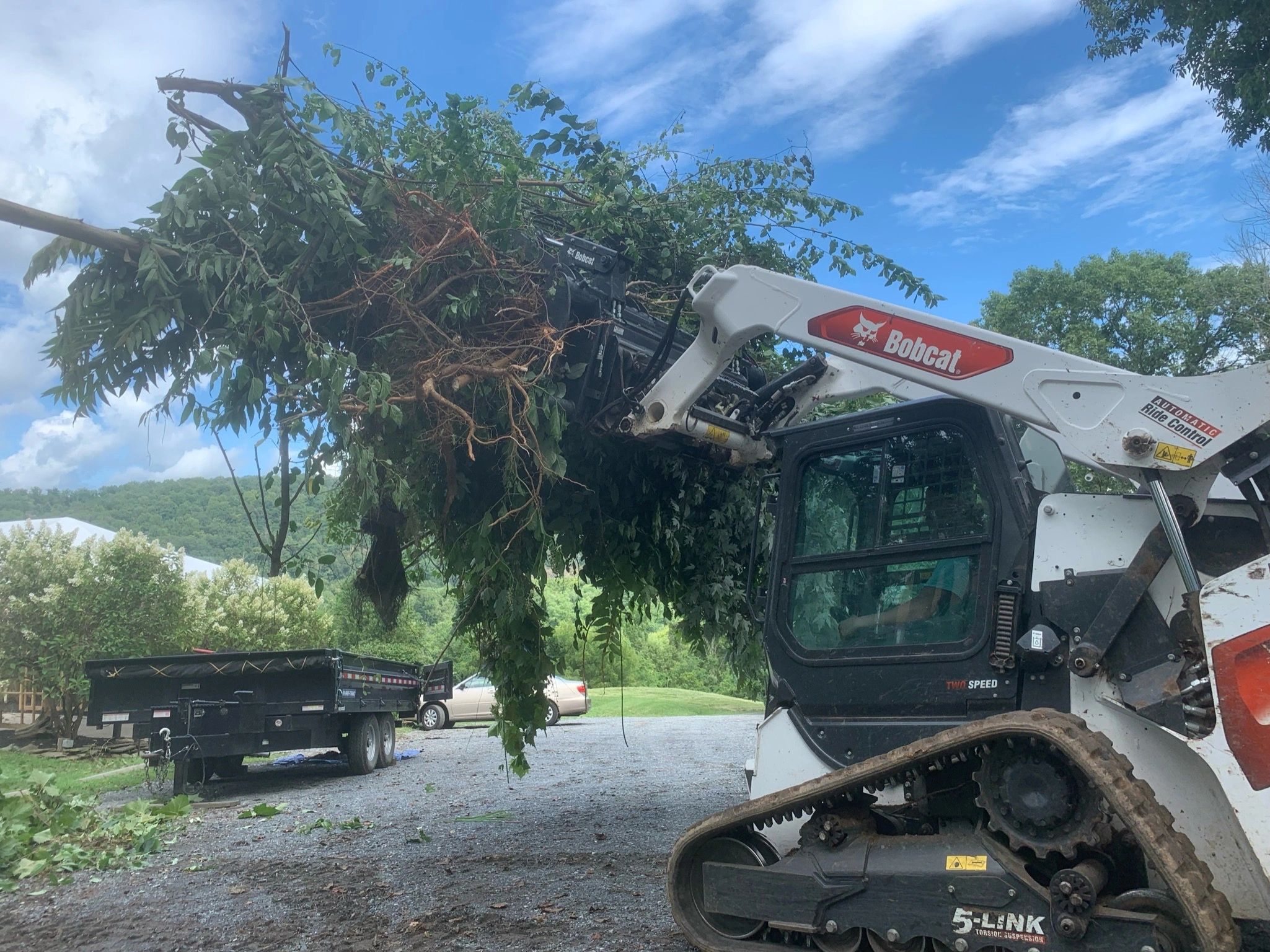 The Many Benefits of Brush Piles