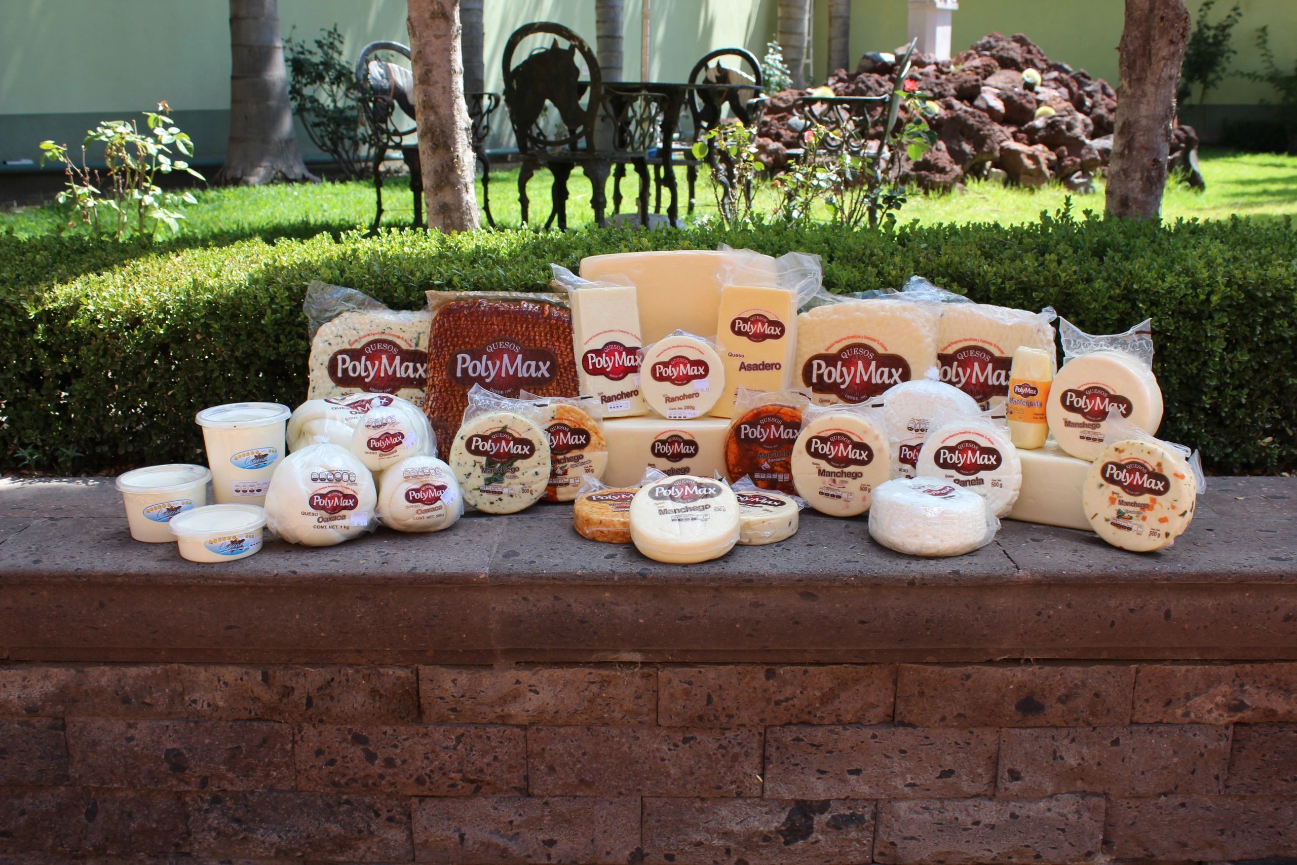 Fabricante De Queso - 3169459000011907068gc