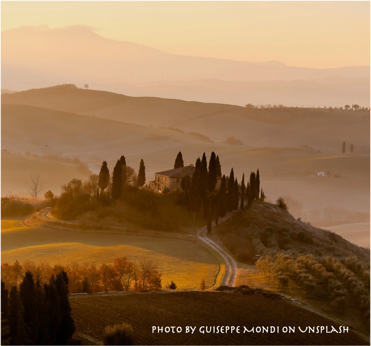 Books By Jeanne Roland