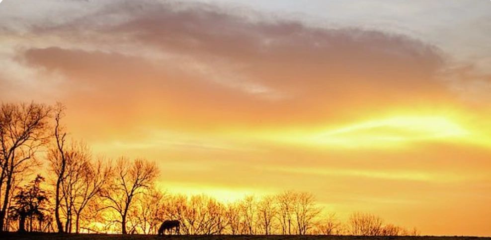 The Goshen Community