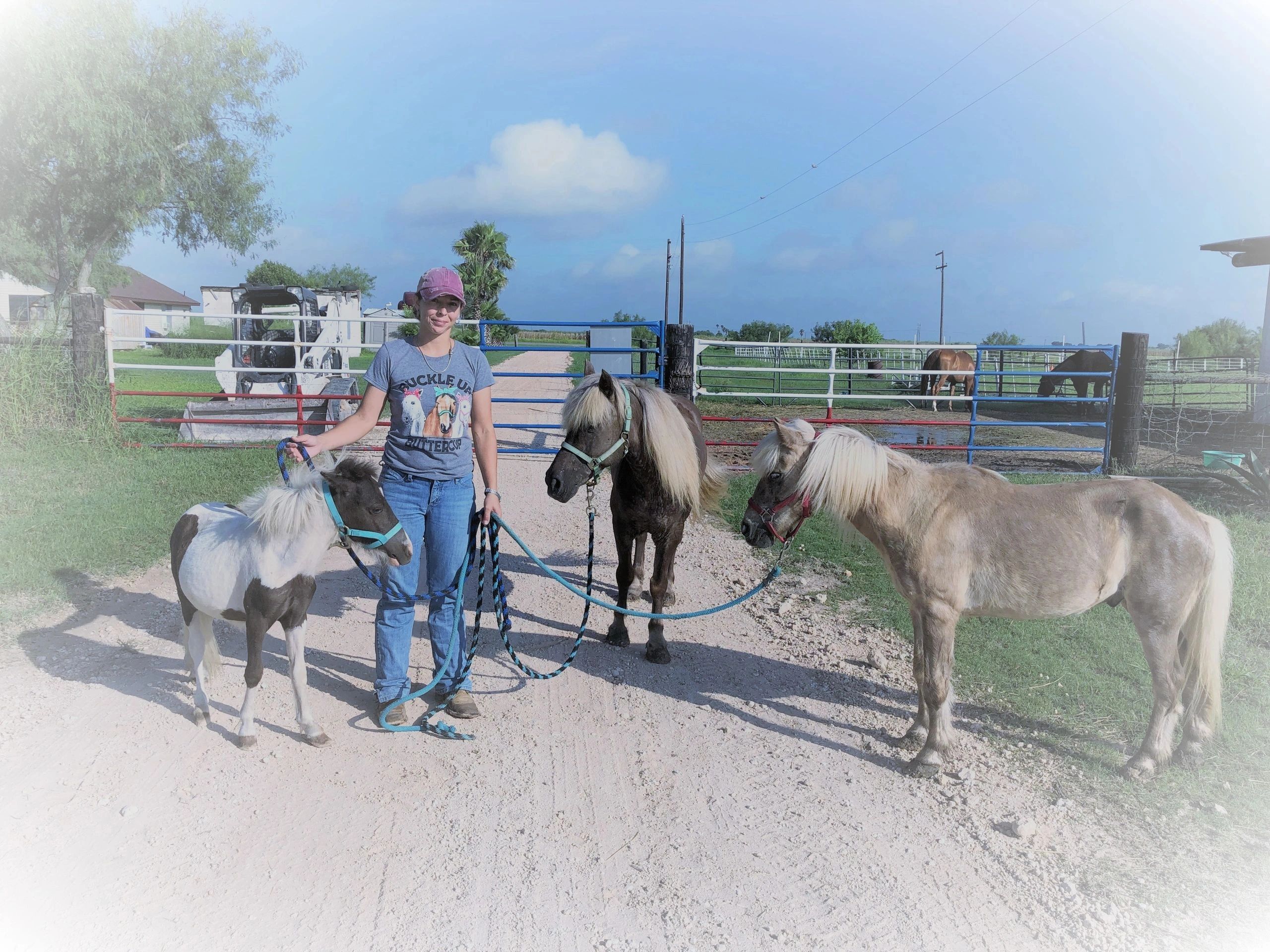 About | A Stable Learning, LLC