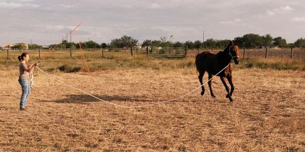 About | A Stable Learning, LLC