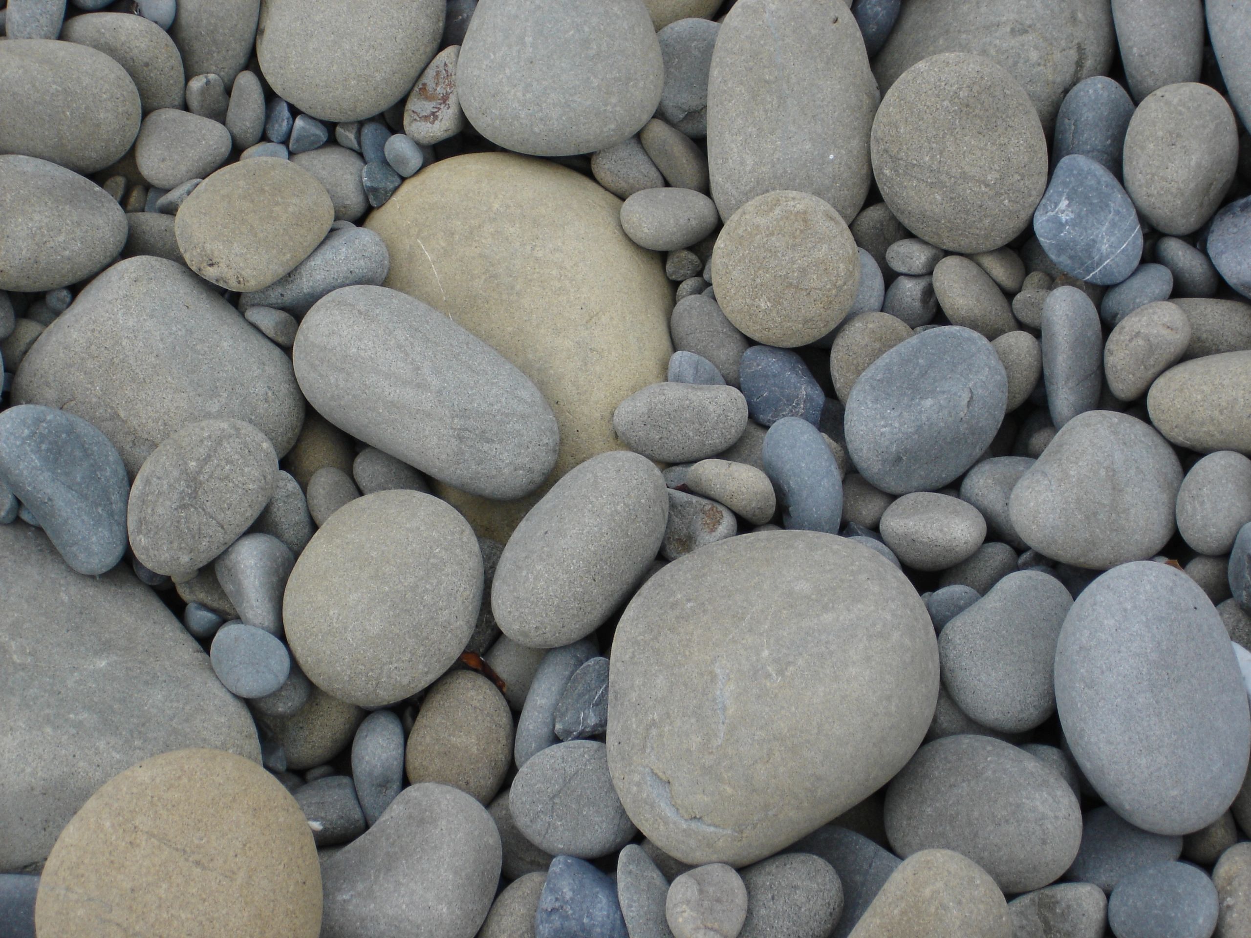 Accountant, Bookkeeping - Pebble CA - Edinburgh, Scotland