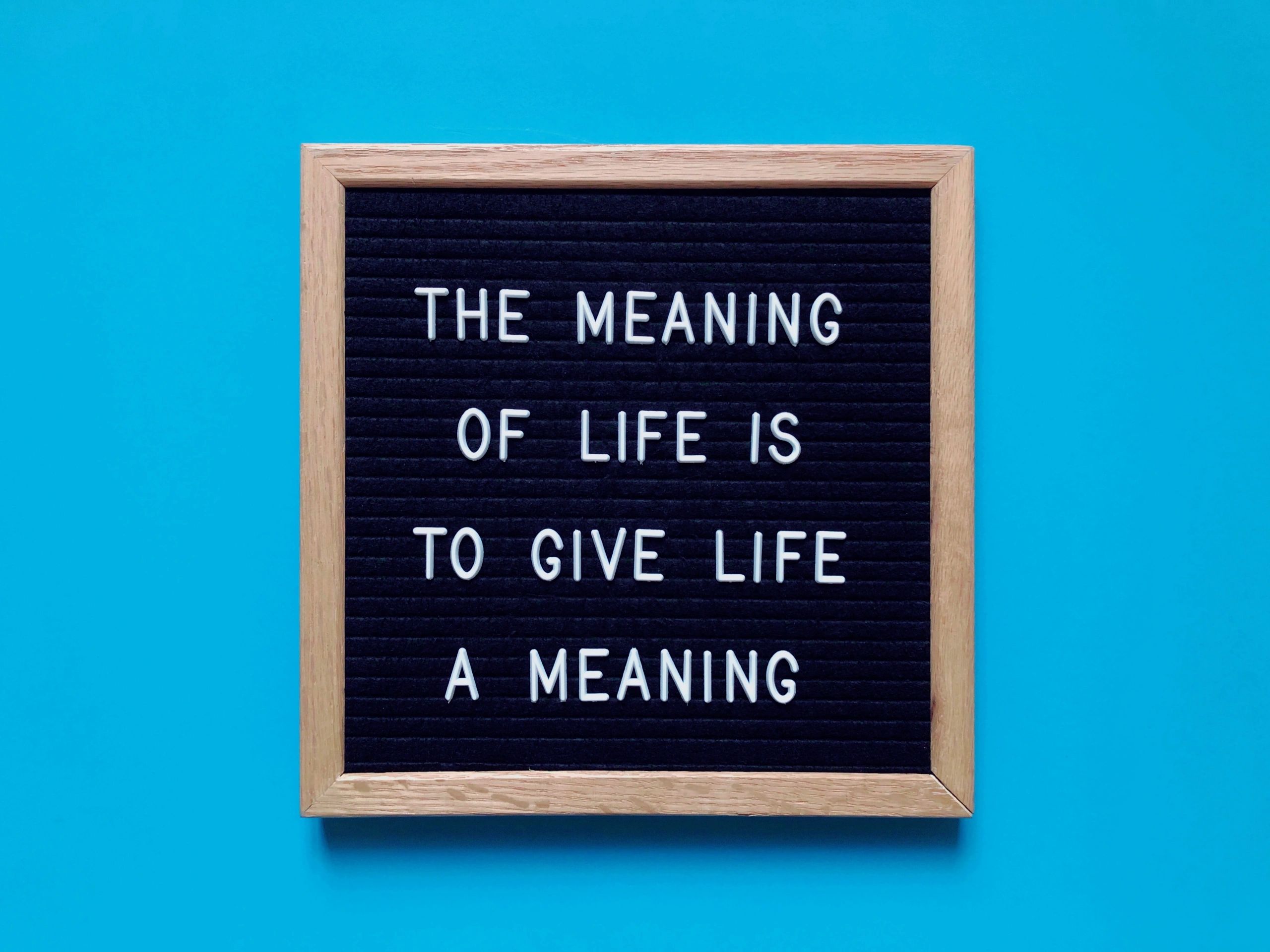 What is the meaning of life?...
