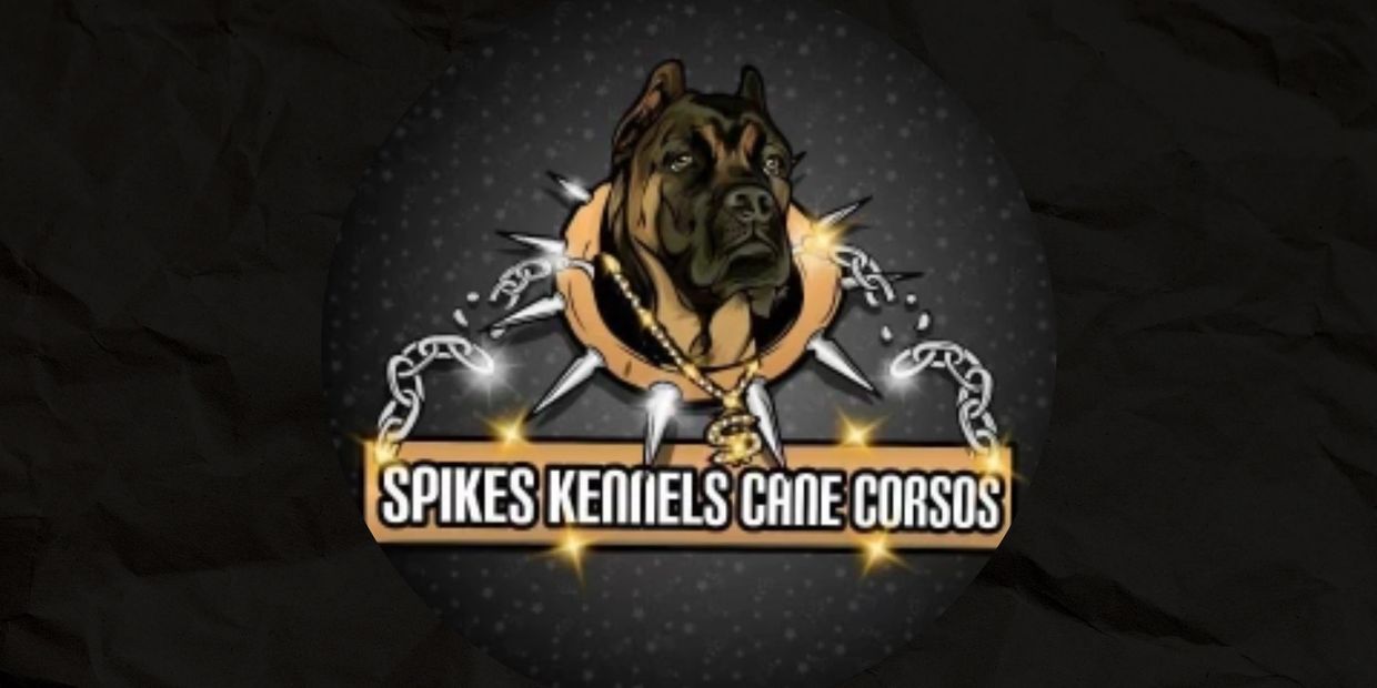 About | Spikes Kennels Cane Corsos