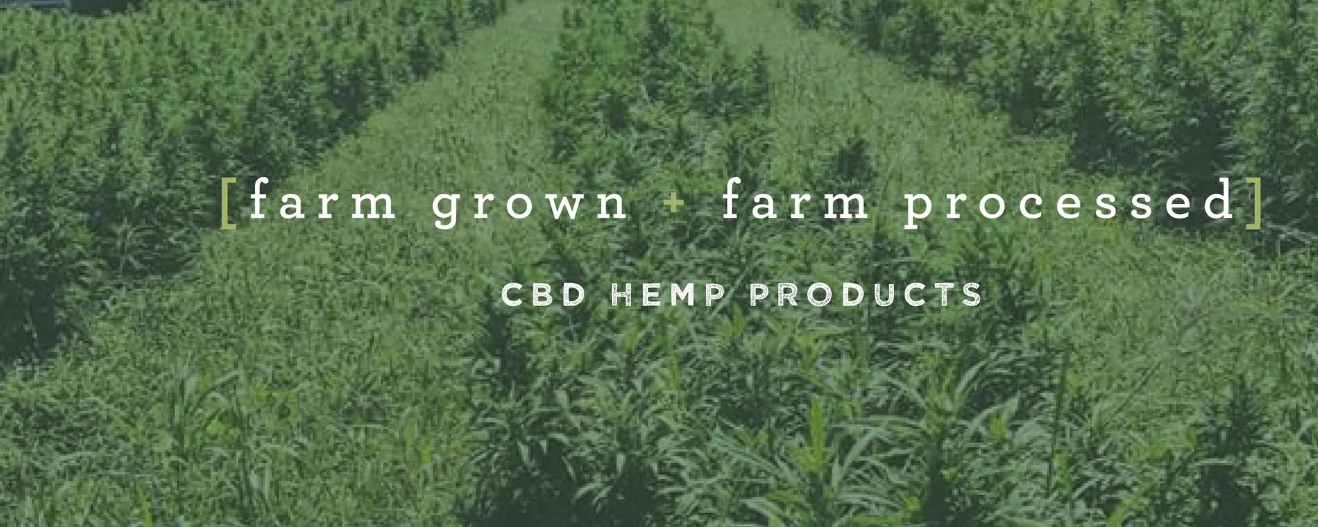 Home [www.essentiallyhemp.net]