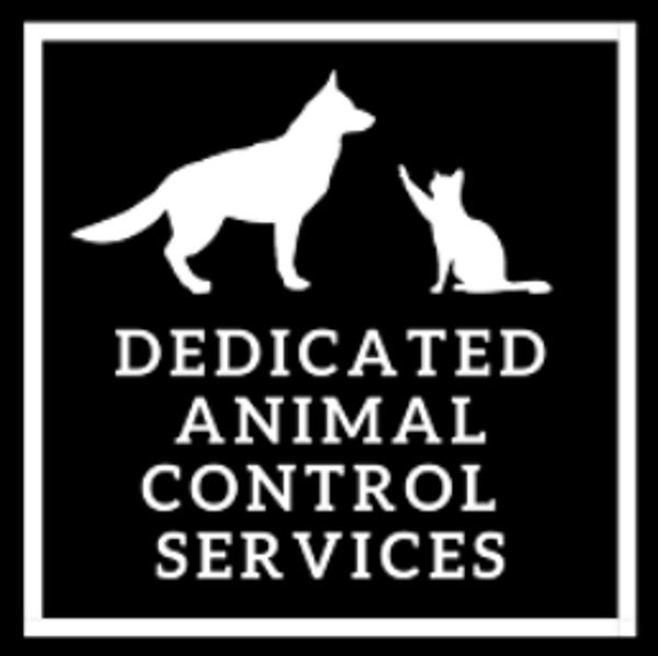 Dedicated Animal Control Services