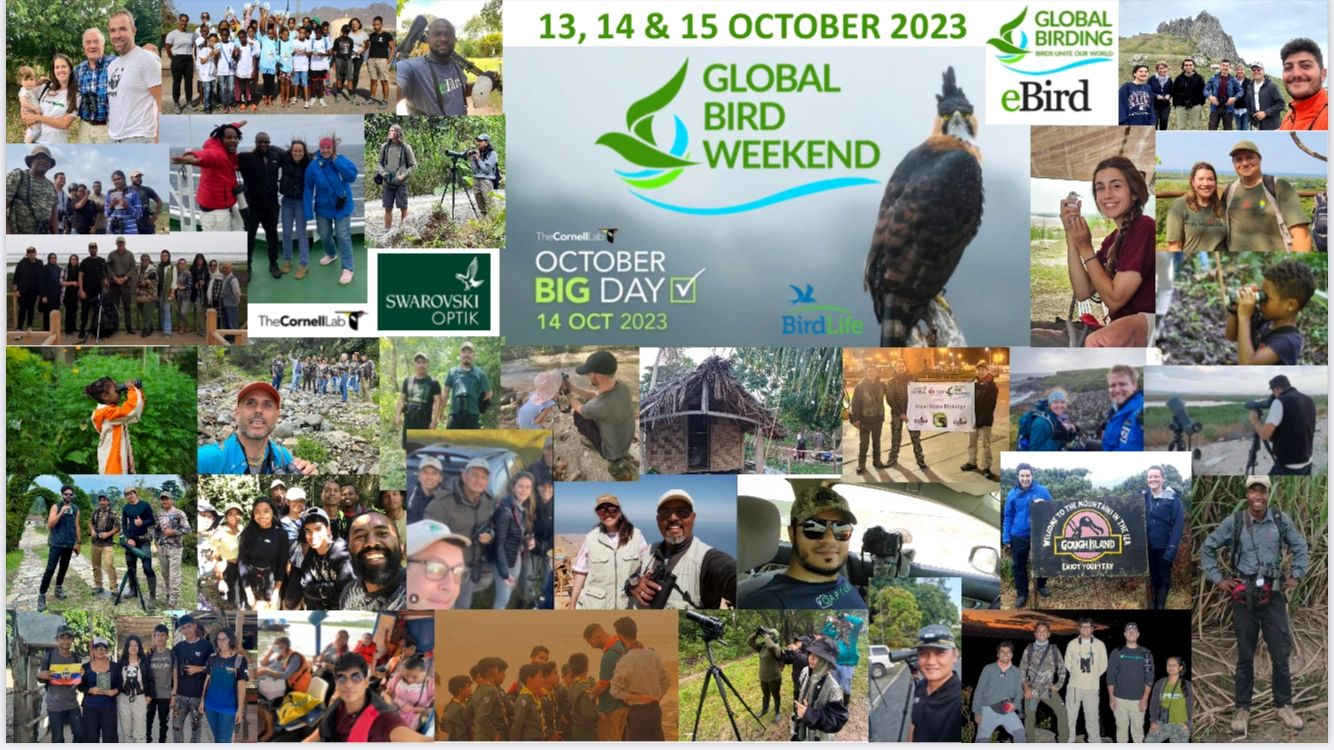 Birding Event - Globalbirding.org