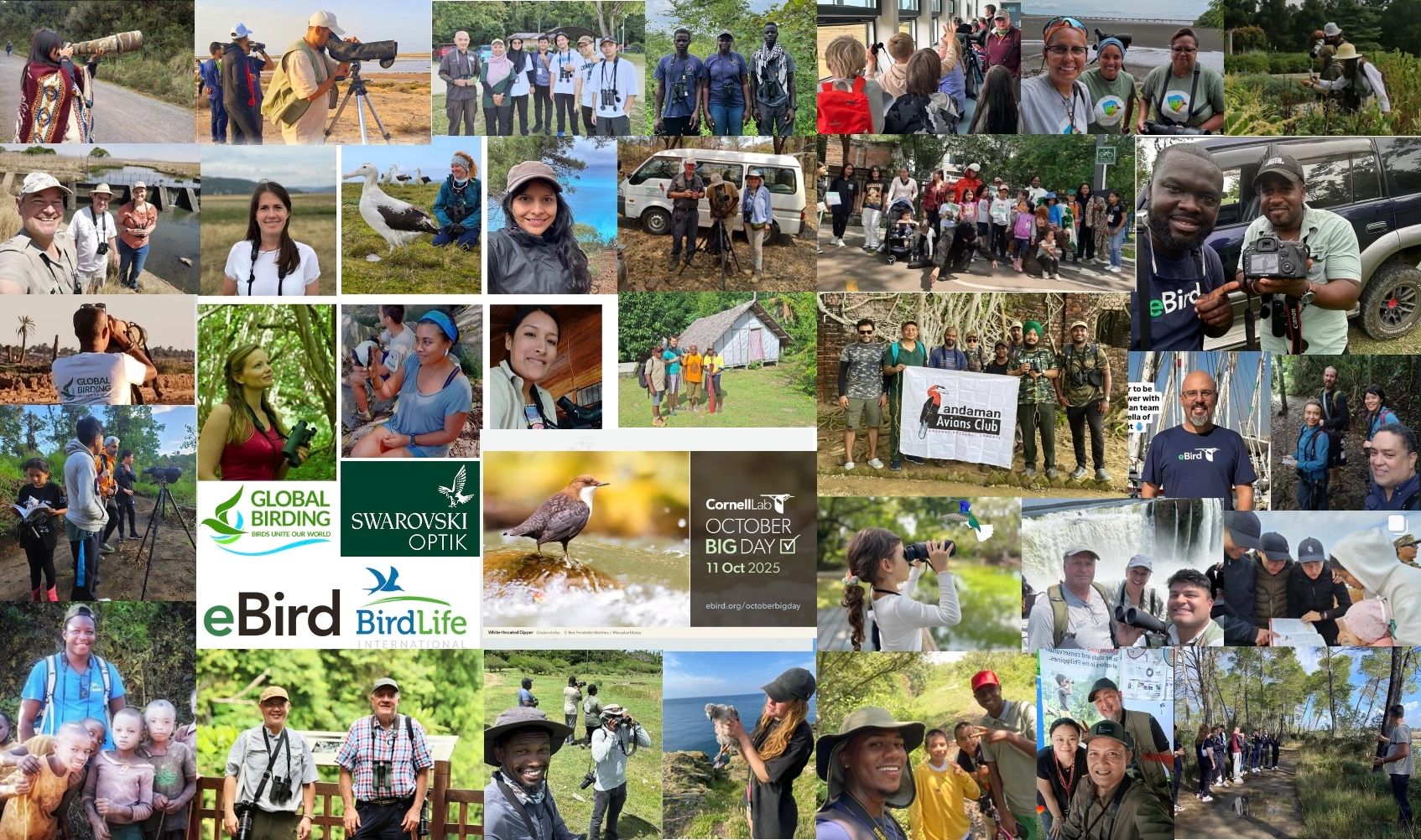 eBIRD TEAM INFORMATION