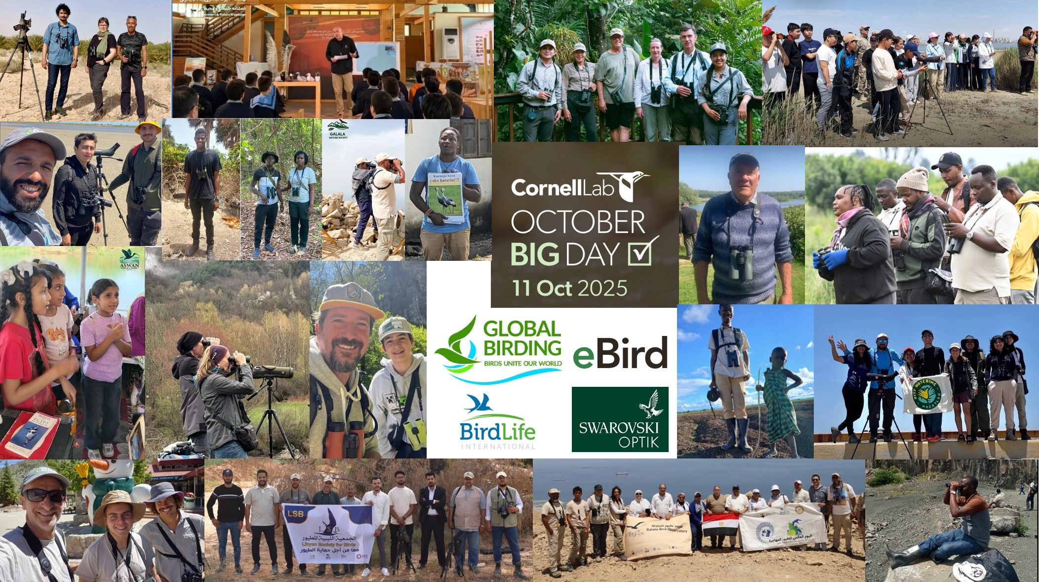 Birding Event - Globalbirding.org