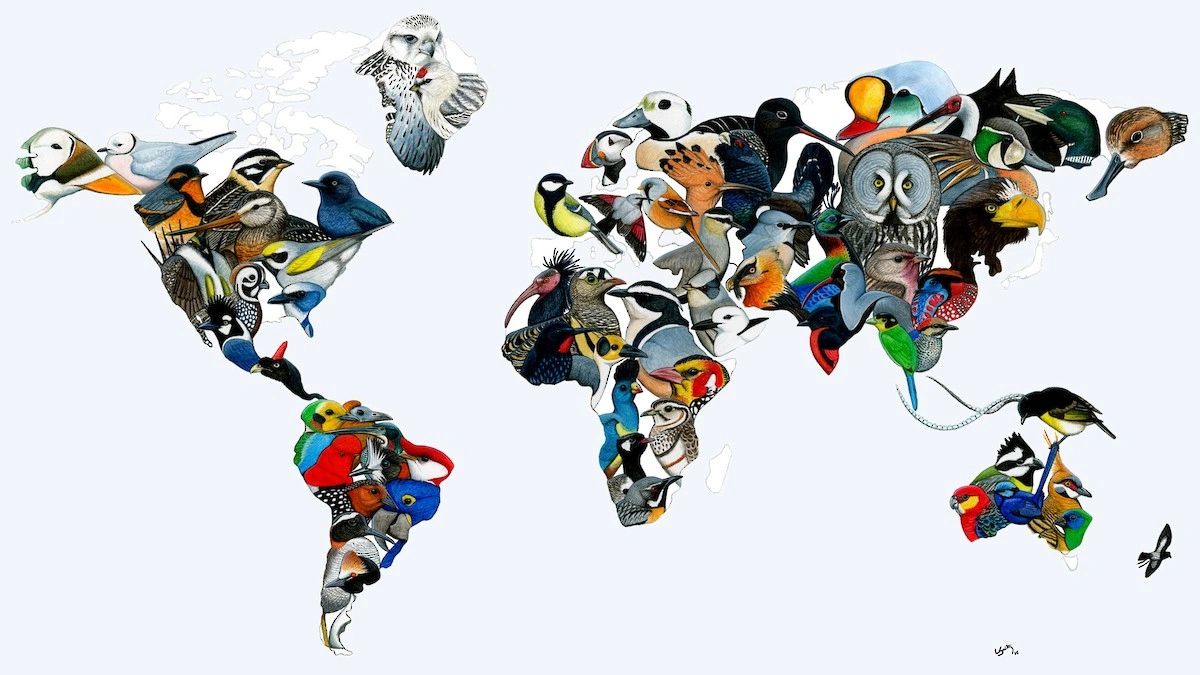 Birding Event - Globalbirding.org