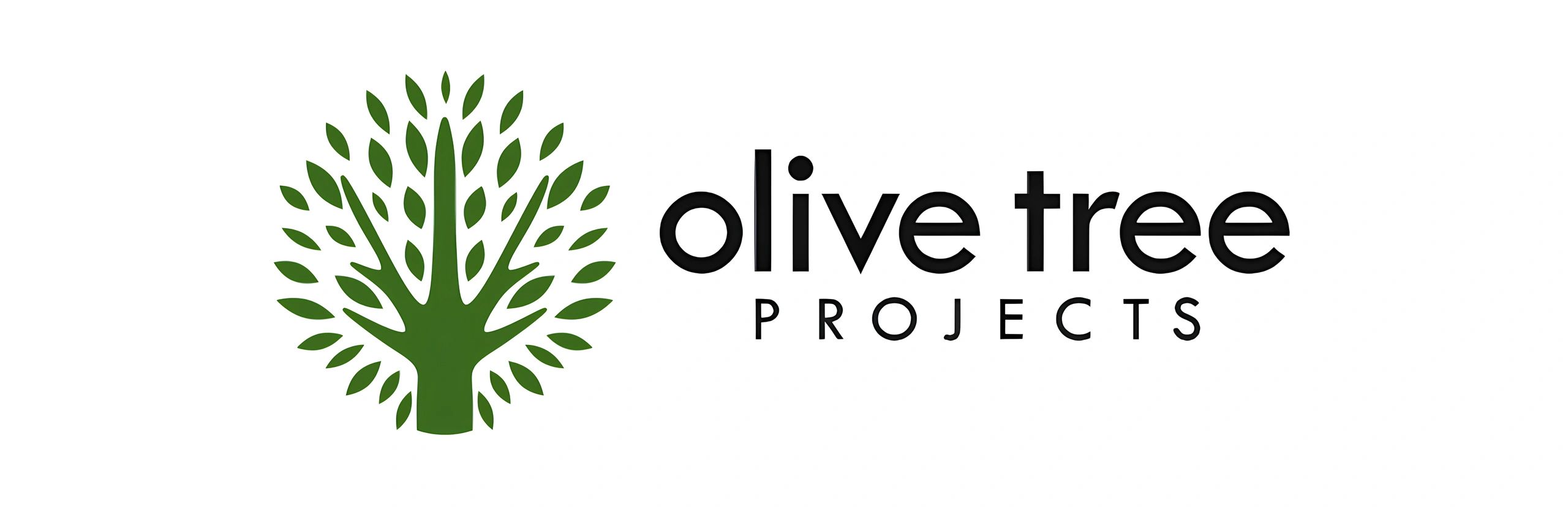 Olive Tree Projects - Midwifery, Family Preservation