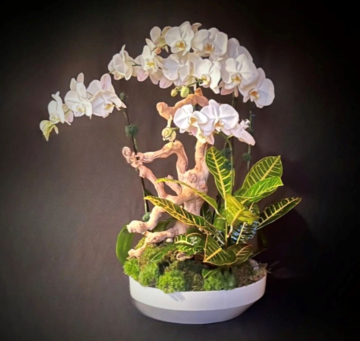 OrchidDesigners.com - Orchid Design, Flowers & Succulents