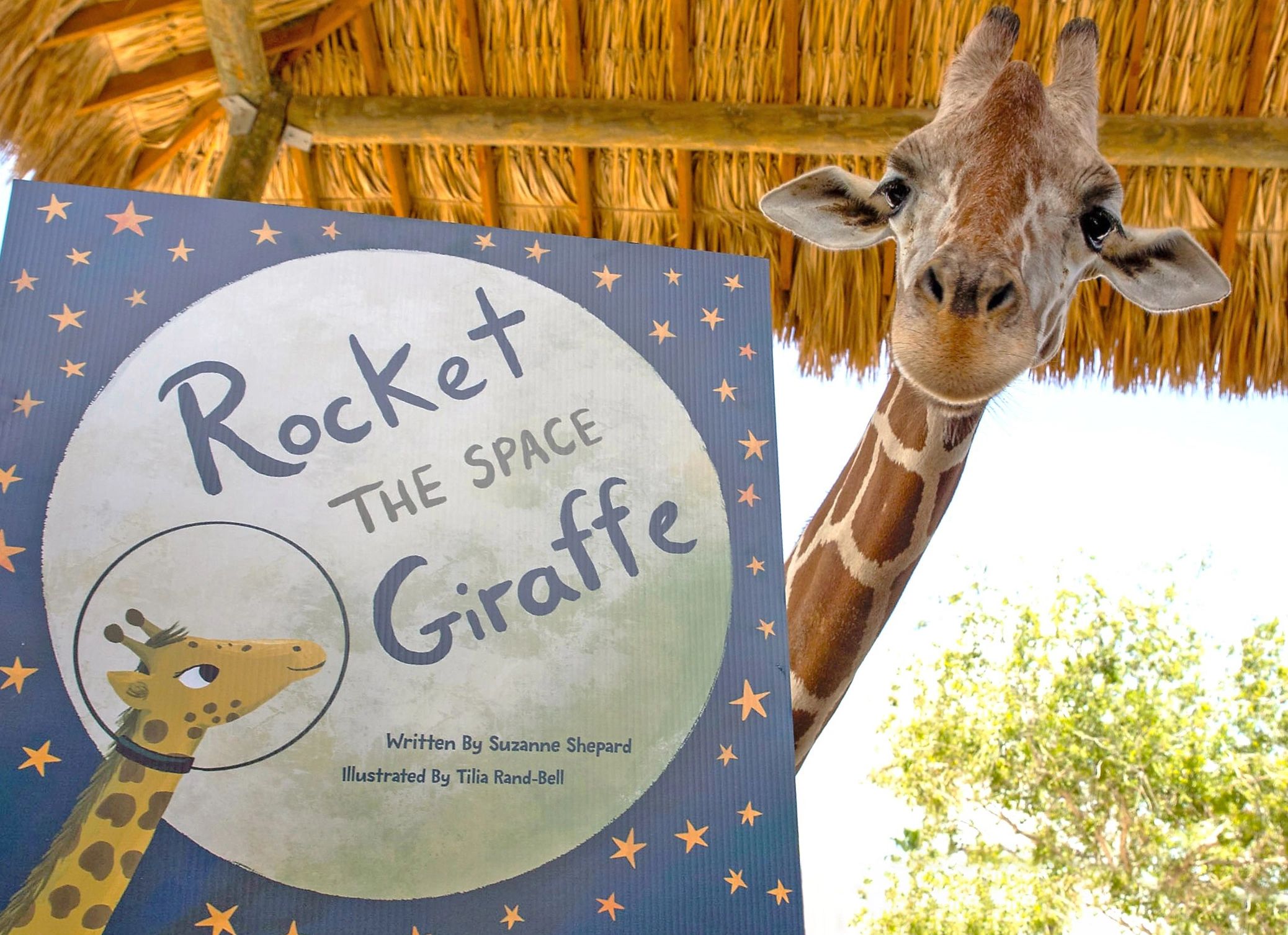 Rocket the Space Giraffe - Home