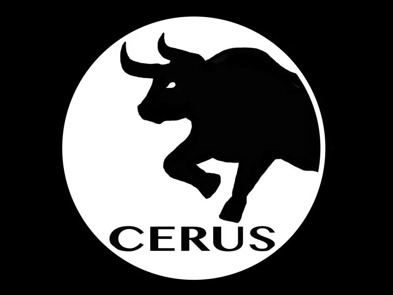 Cerus Enterprises