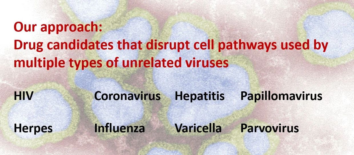ViroCarb Inc. - Antivirus, Antiviral, Biotechnology Company