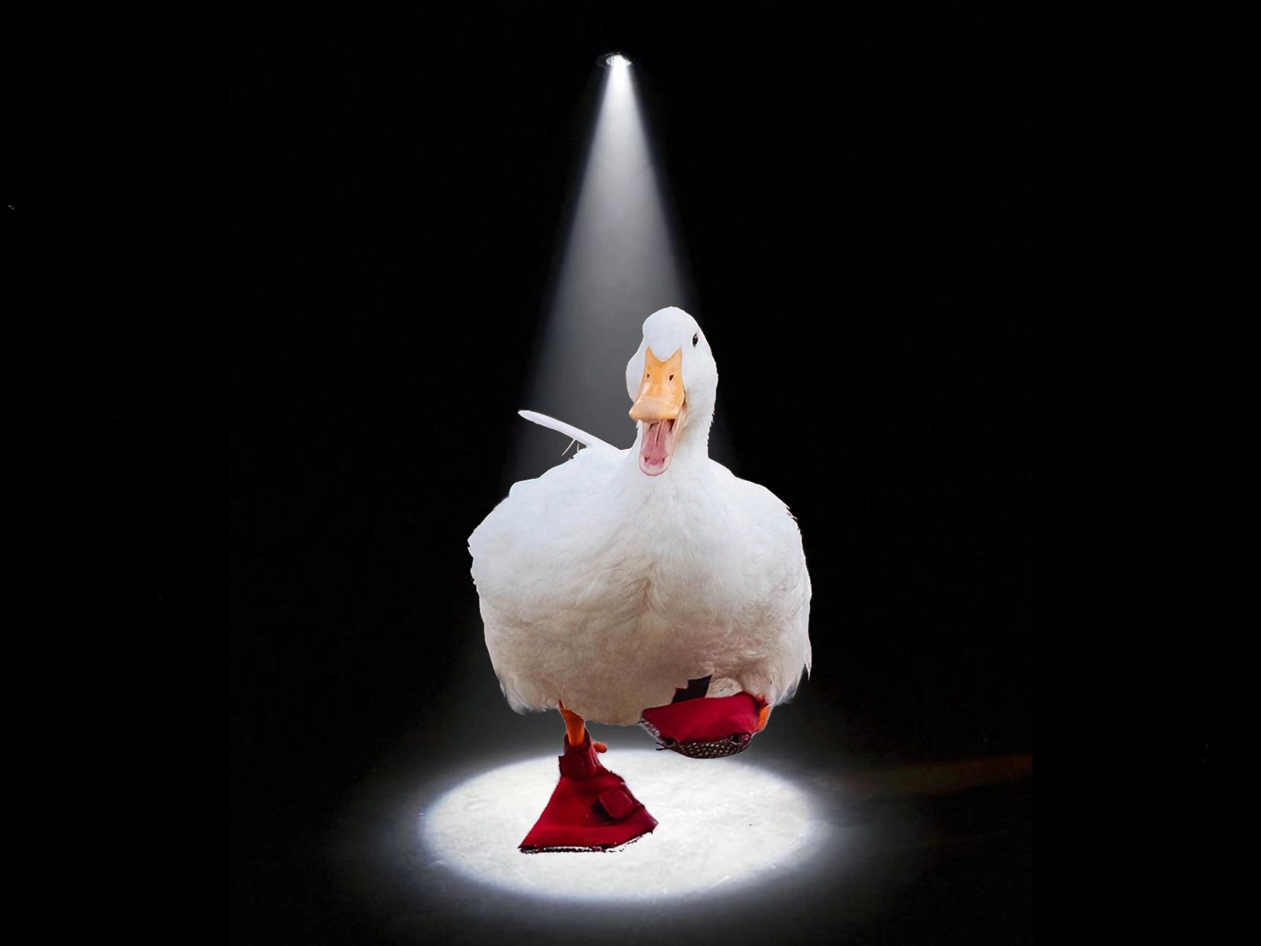 seDUCKtive - Wrinkle The Duck