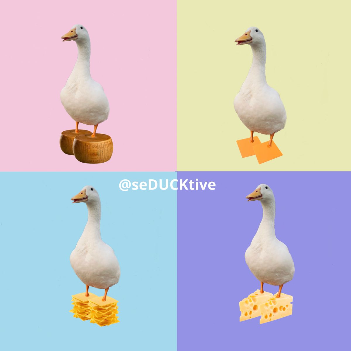 [Wrinkle] Duck Cheese Feet Stickers