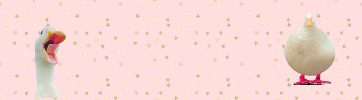 Wrinkle The Duck Merch