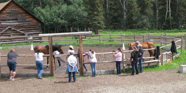 Equine Assisted Learning Canada