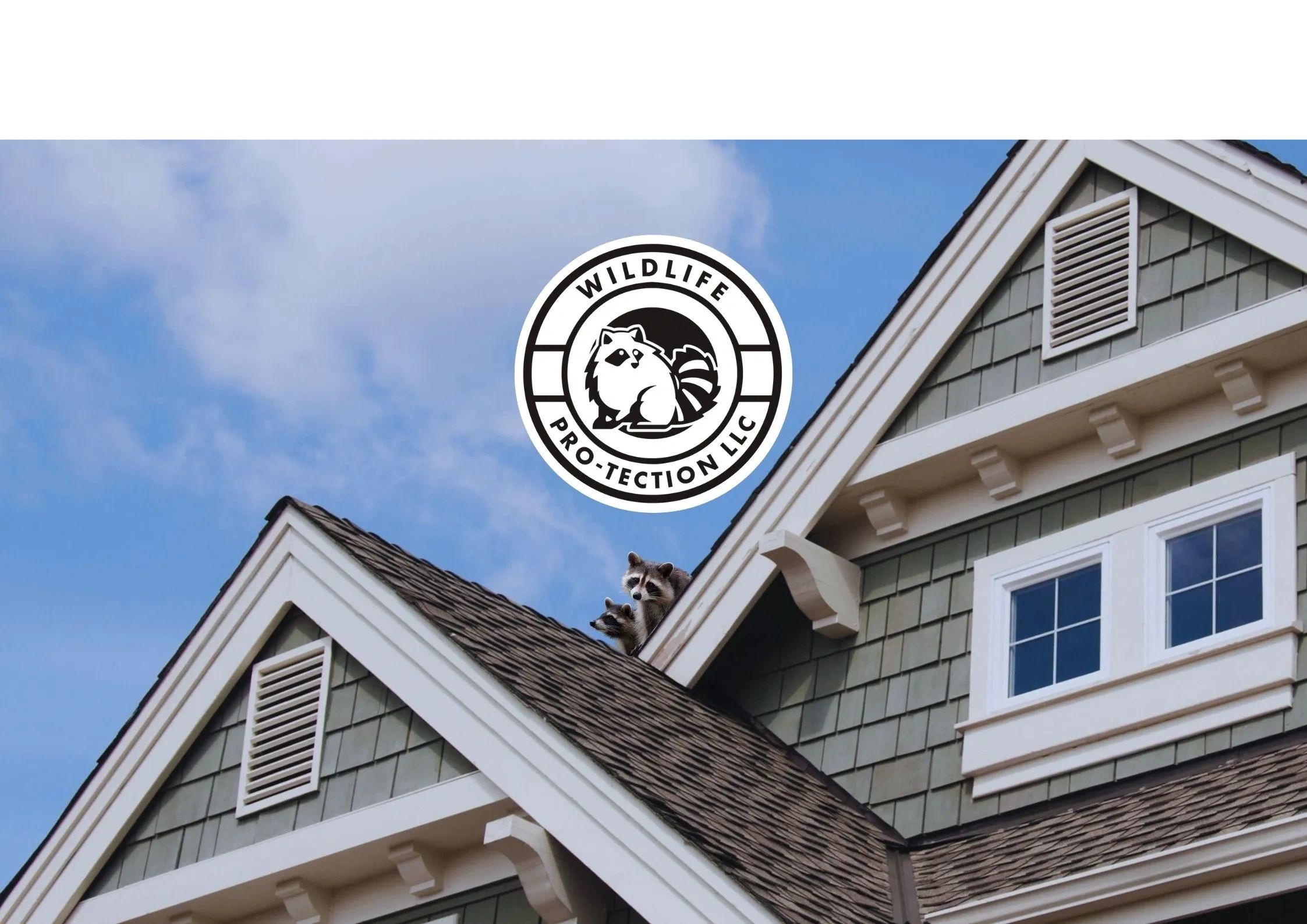 Wildlife Rescue Stories