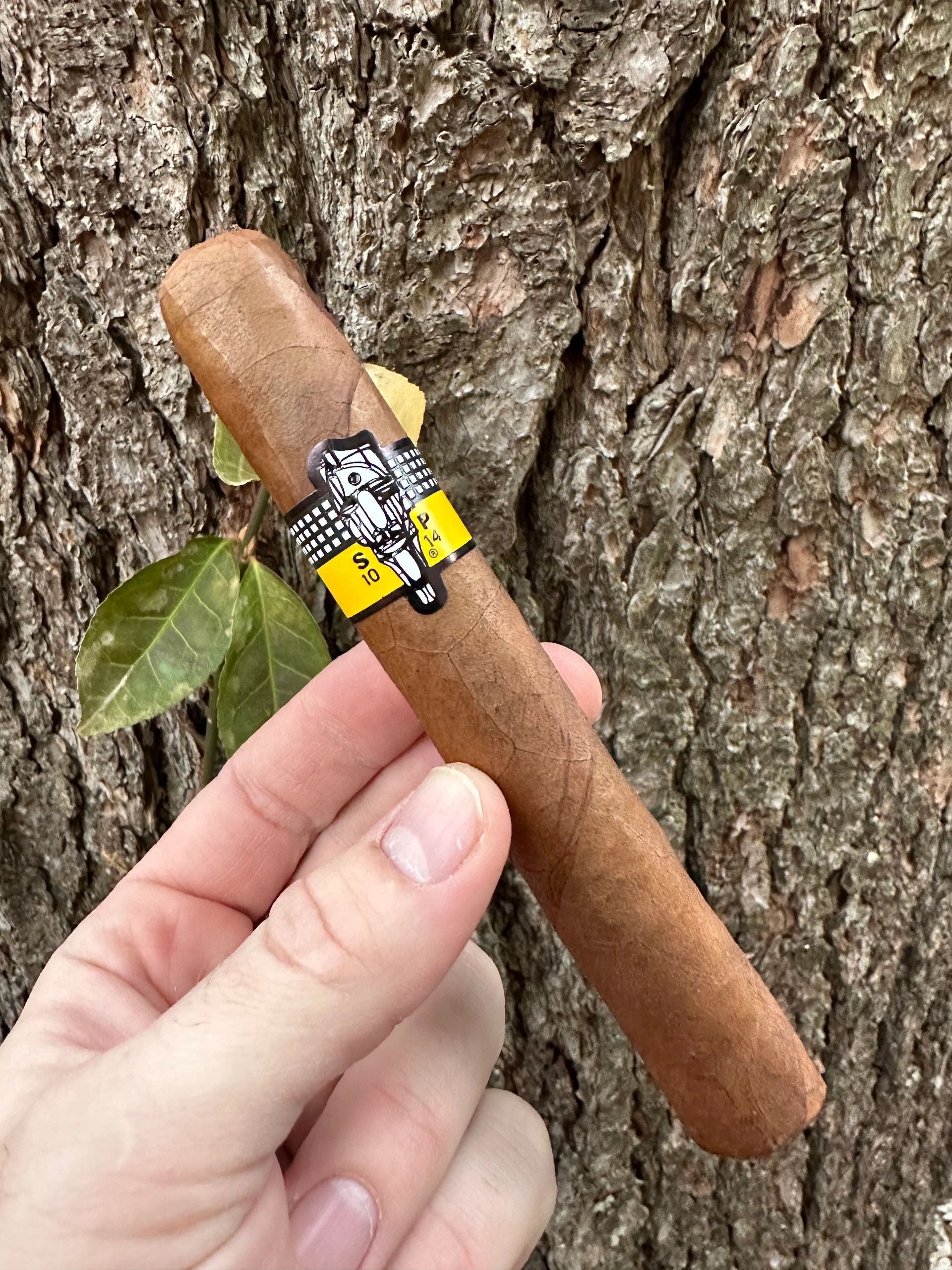 SP1014 by Eladio Diaz and Sanj Patel