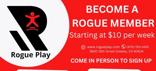 Trampolines and Ninja Warrior Obstacle Course - ROGUE PLAY