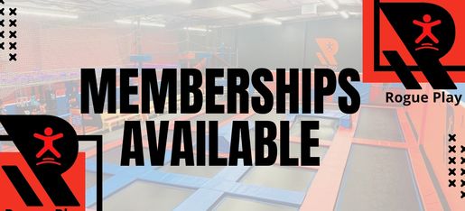 Trampolines and Ninja Warrior Obstacle Course - ROGUE PLAY