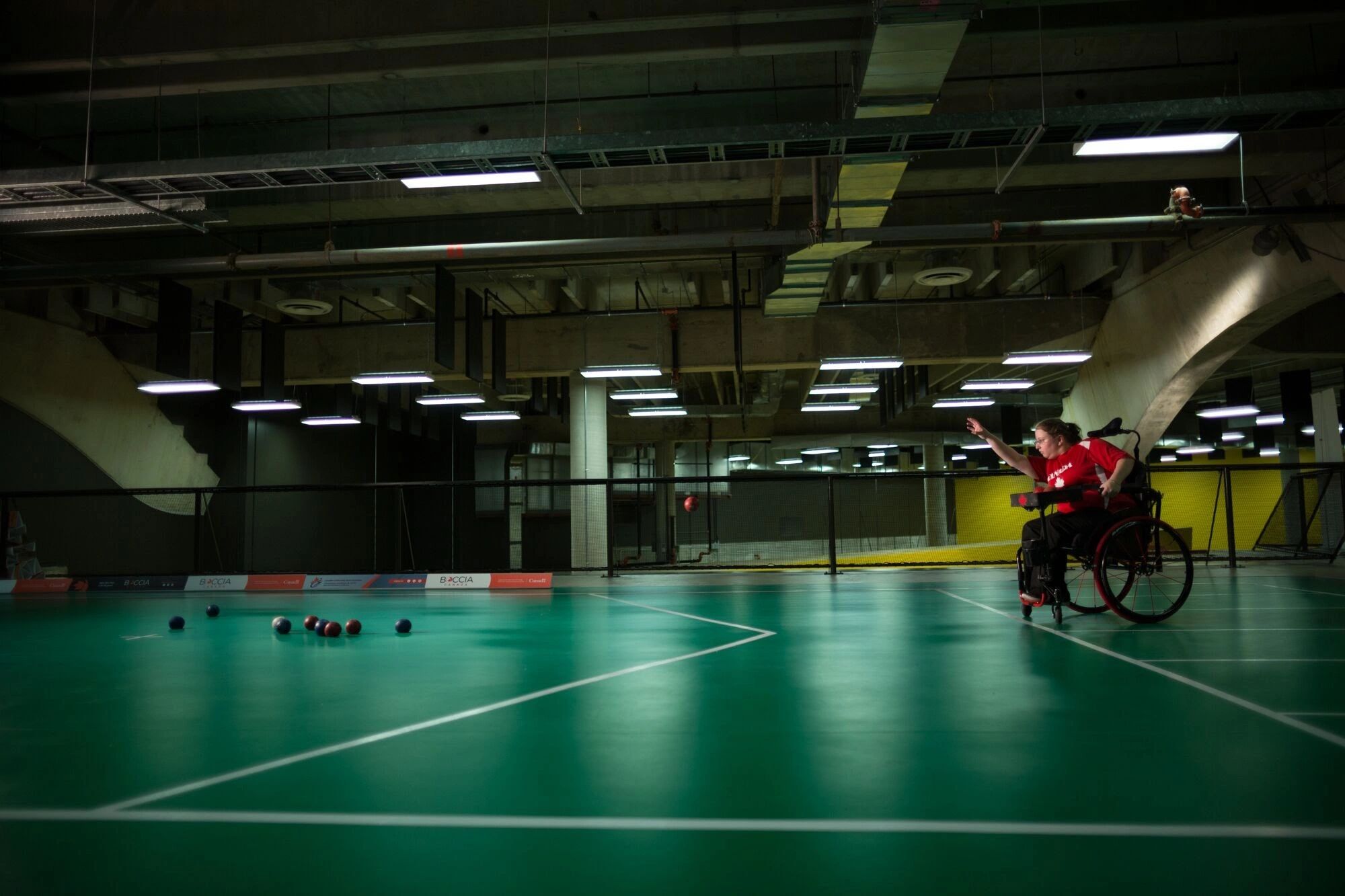 Canadian Paralympian - Alison Levine