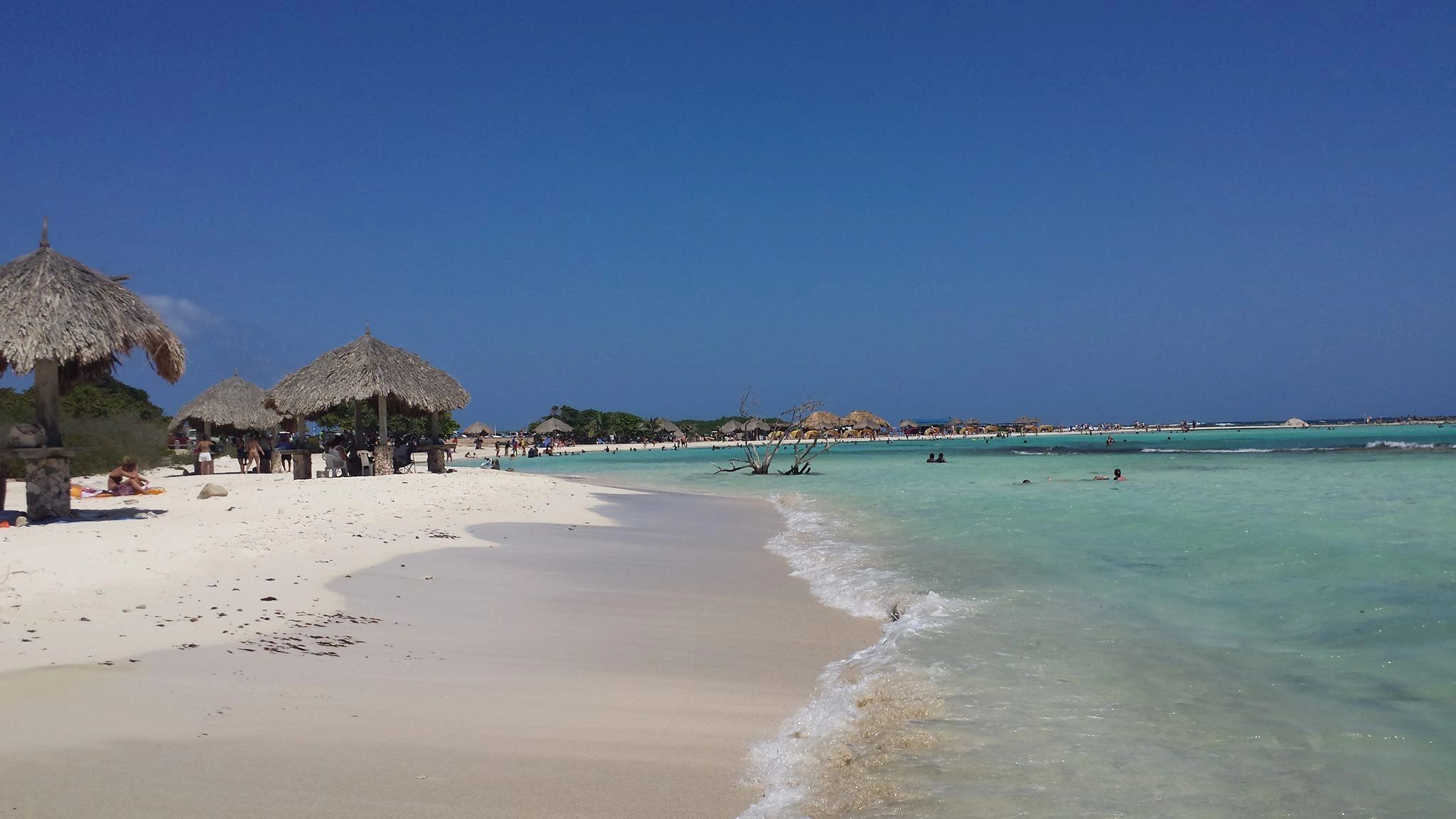 Juniper Tree Travel - Travel Advisor Services, All Inclusive Resorts