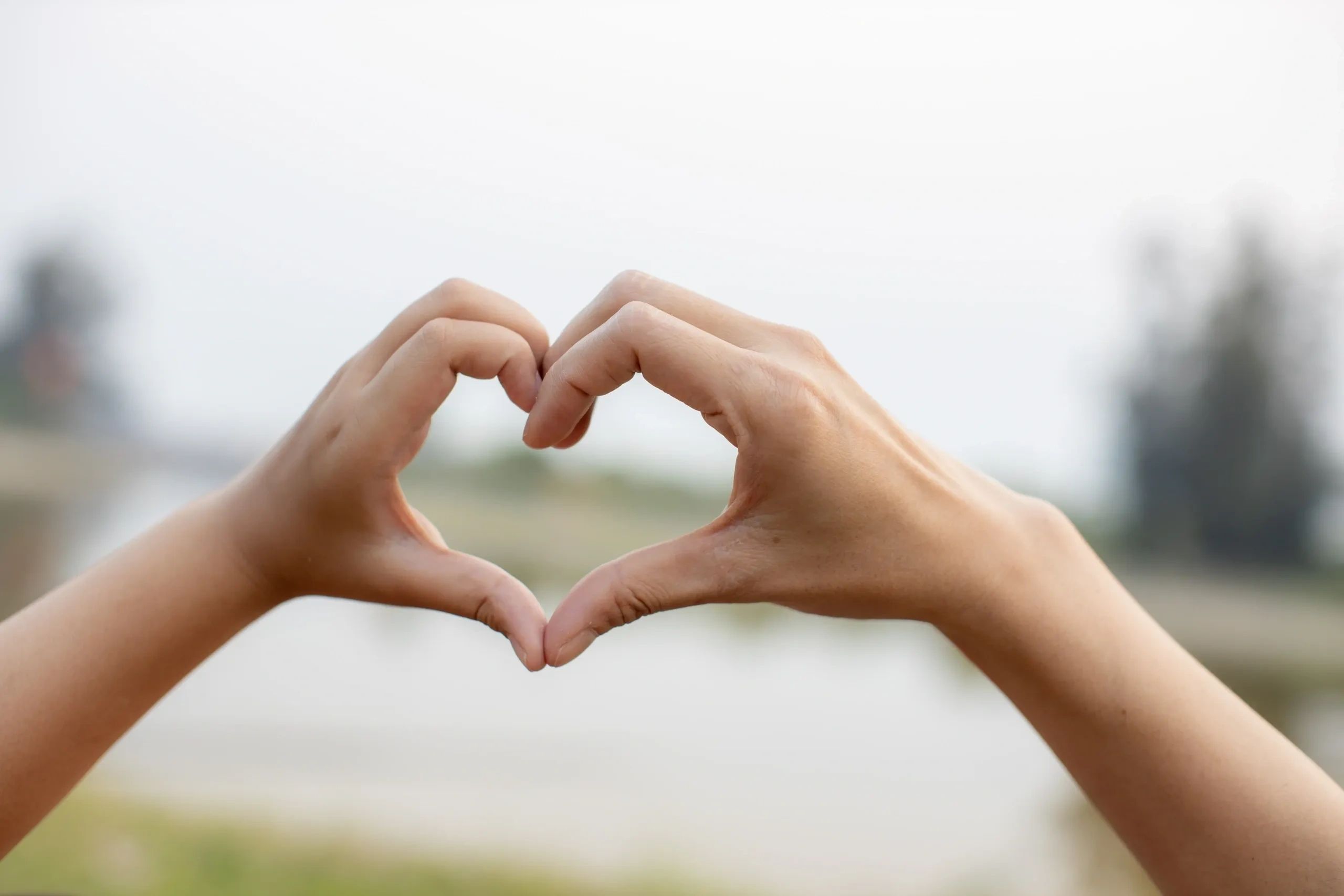 Live Love Life Insurance