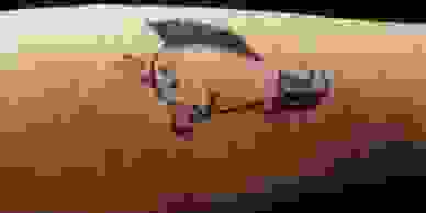 Laser Engraving and Cutting - Frontiernow Engraving and Graphics, LLC