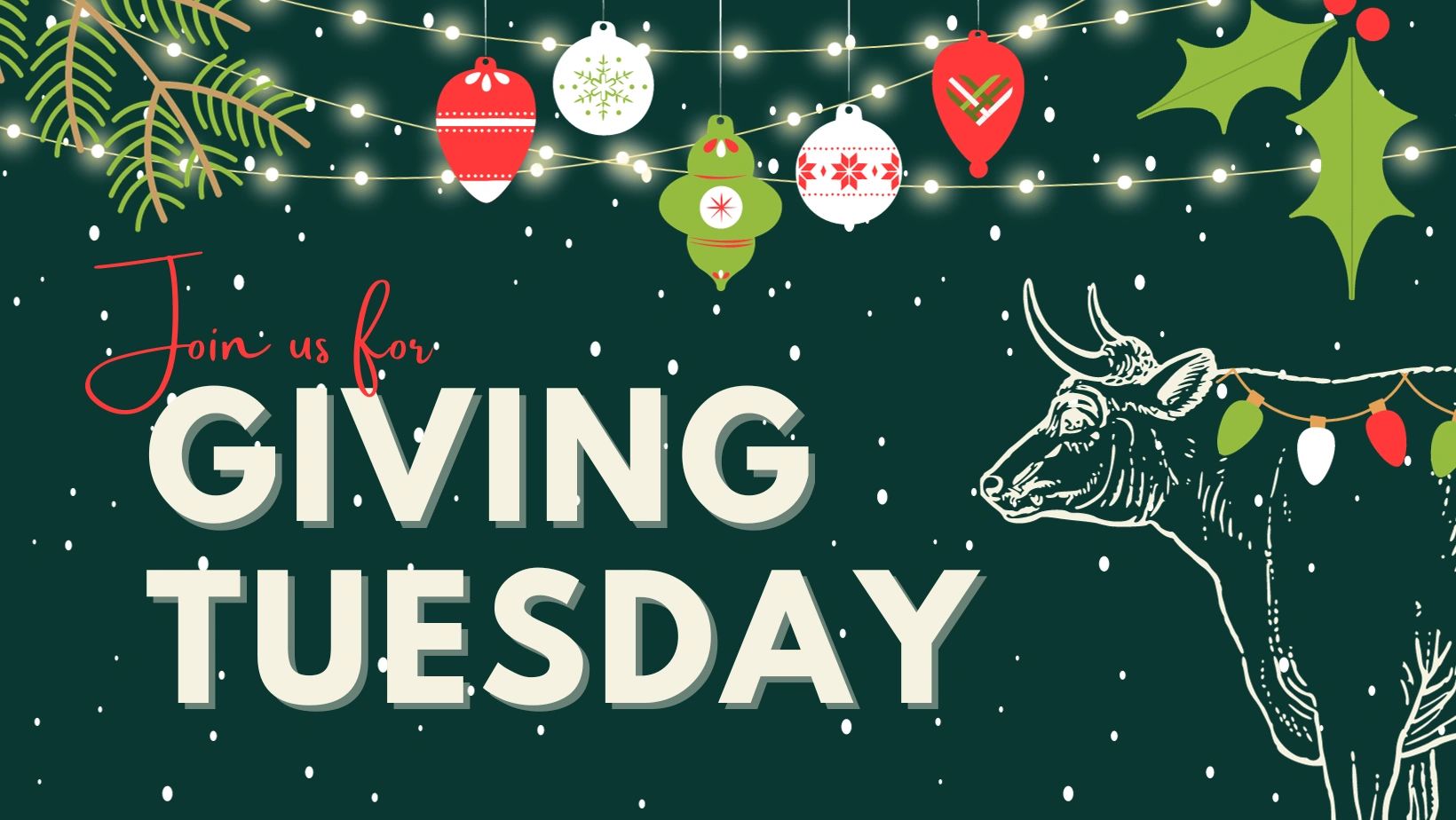 Christmas Cow | Giving Tuesday
