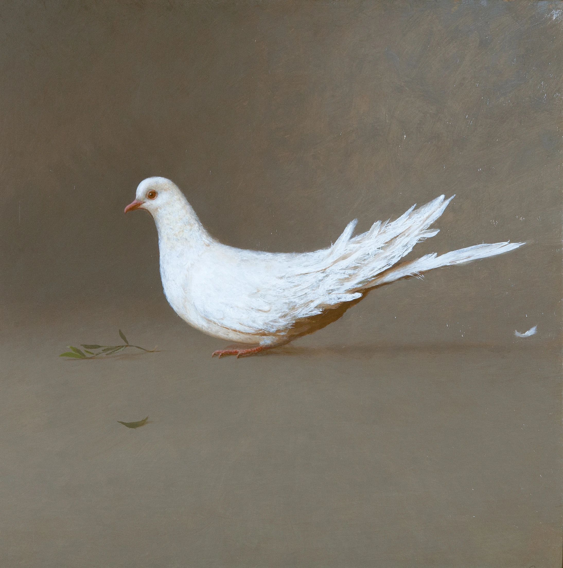 American Peace Award | American Peace Award