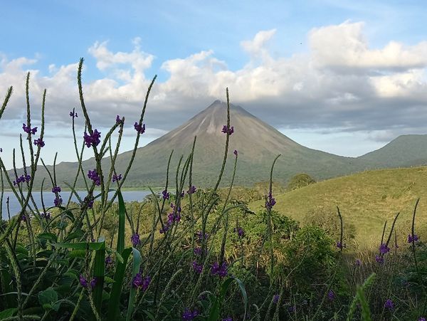 Calypso Adventures Costa Rica