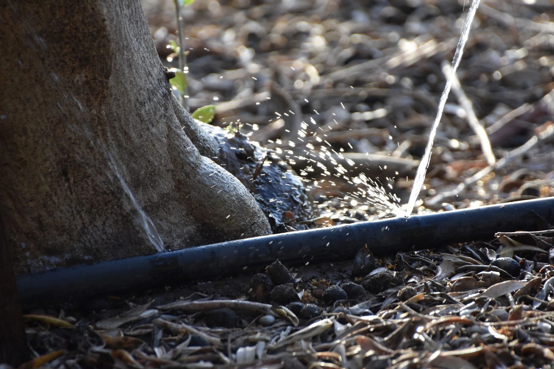 How to Fix Blocked Irrigation Filters, Drippers and Sprinklers