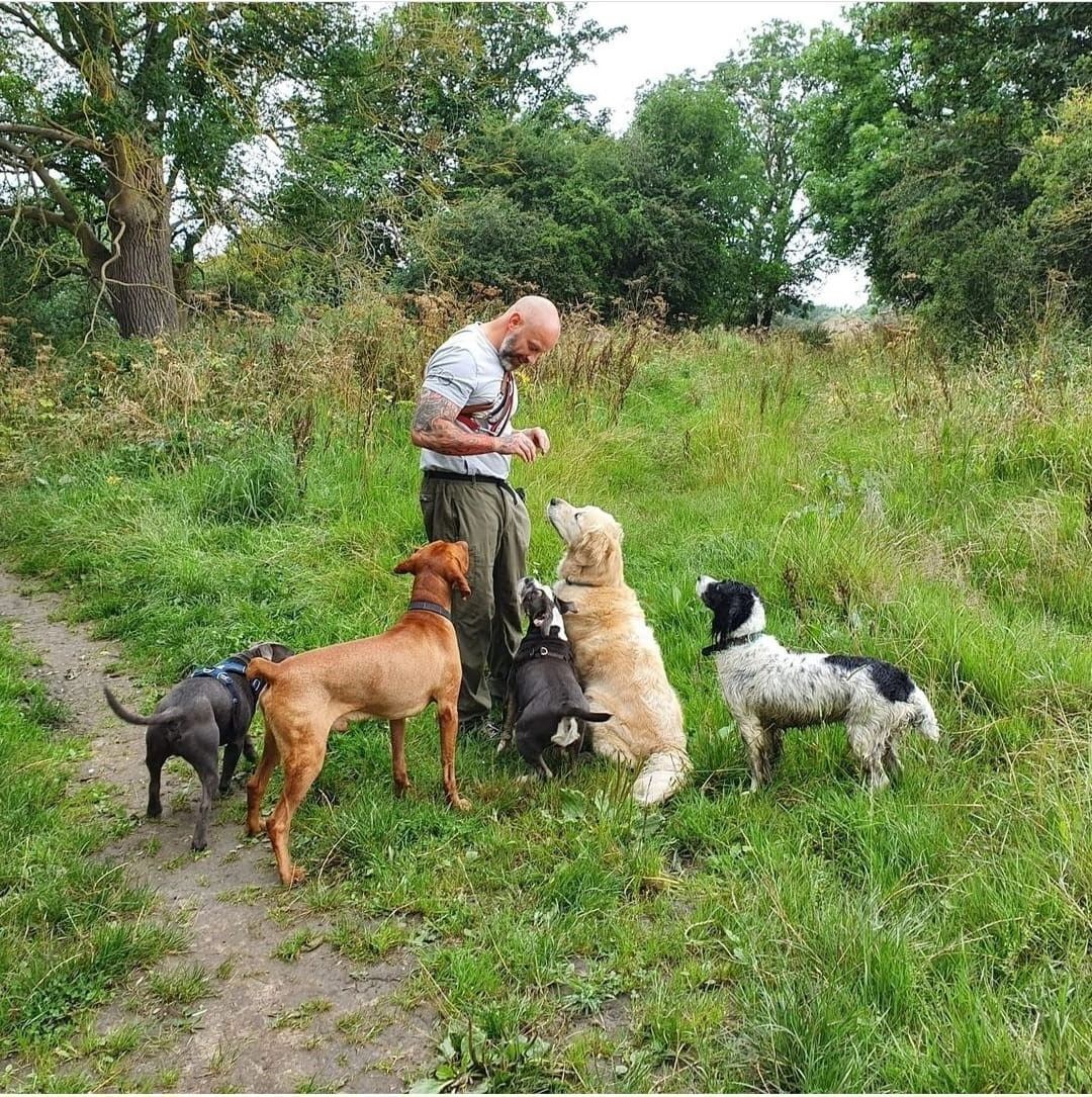 The Hounds of Dean