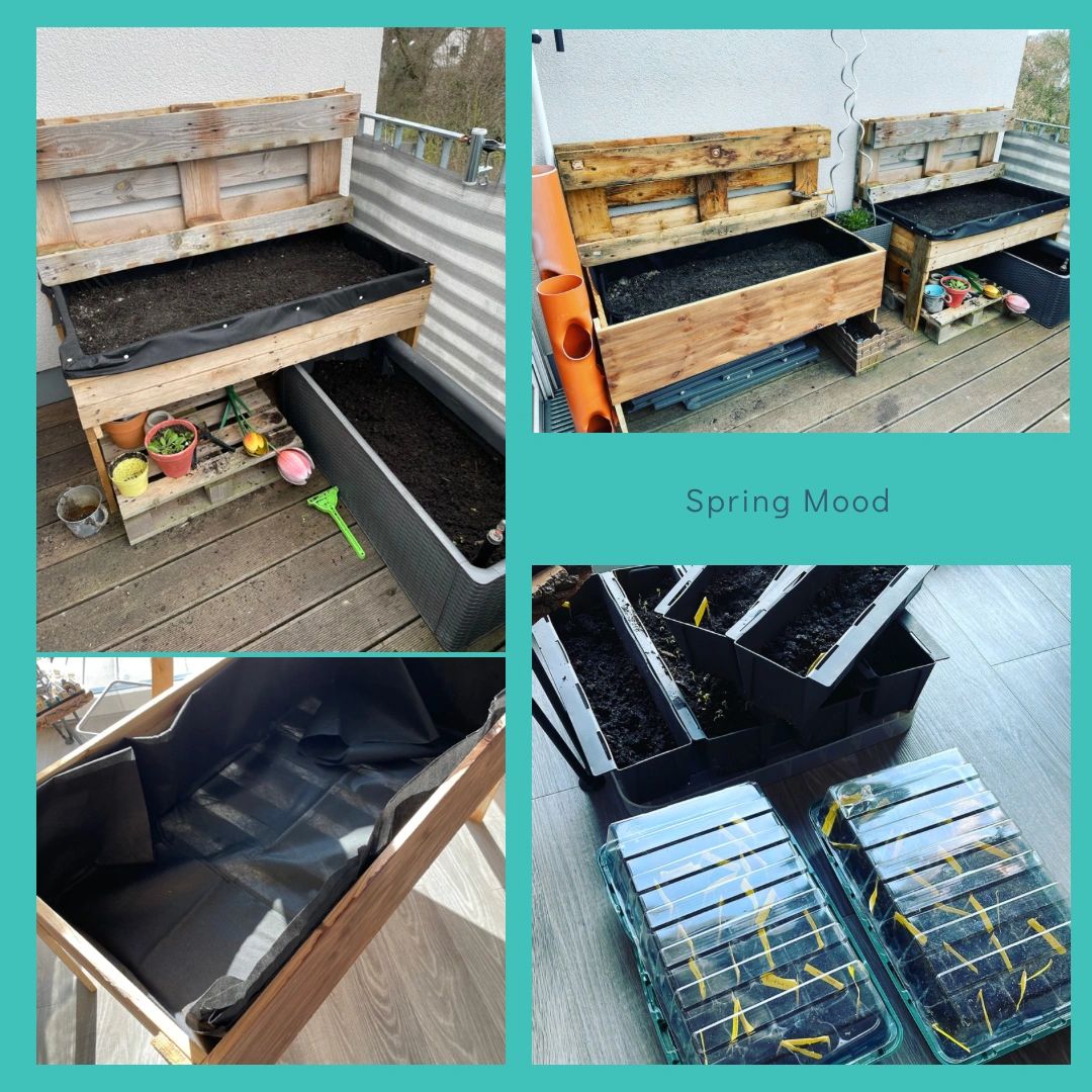 Familienprojekt: Hochbeet mit Wasser und Pflanzen III