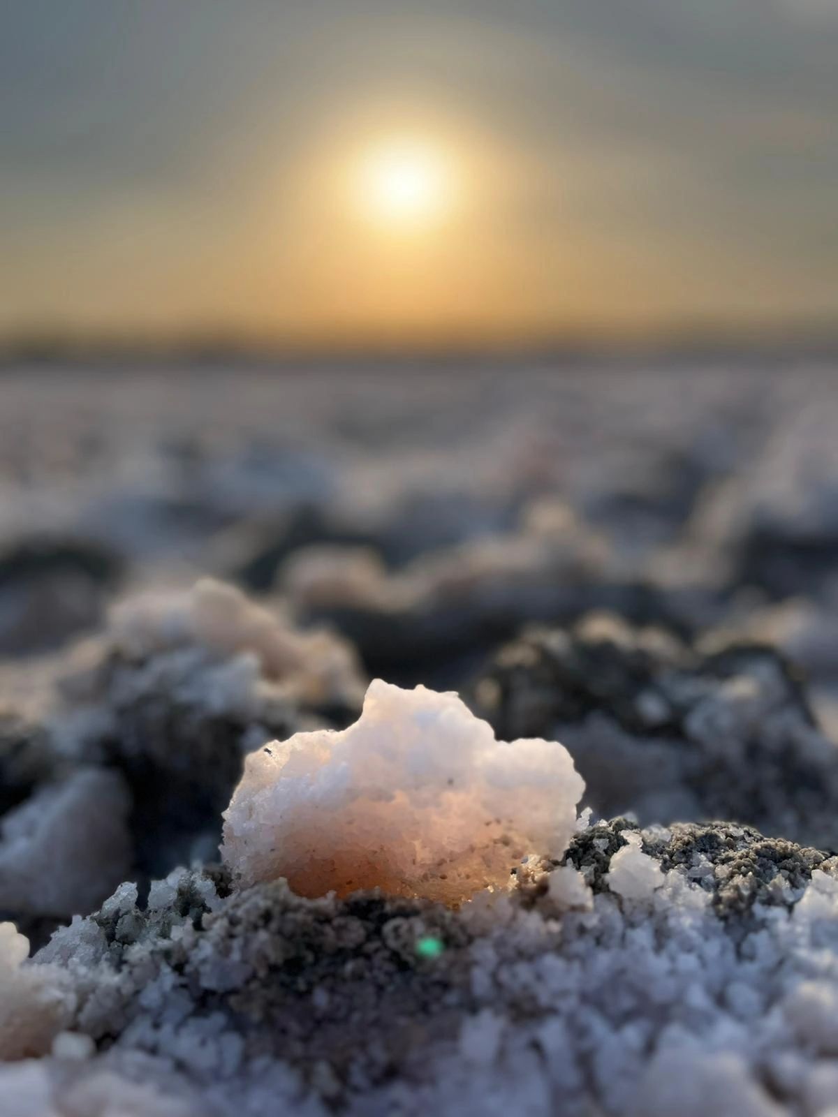 Blog | Dingle Coaching