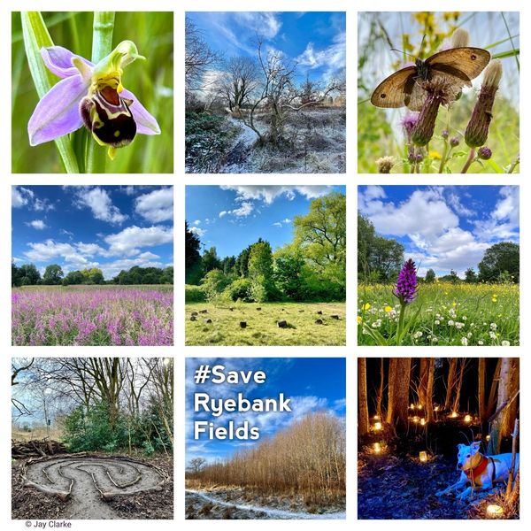 Ryebank Fields Community Group