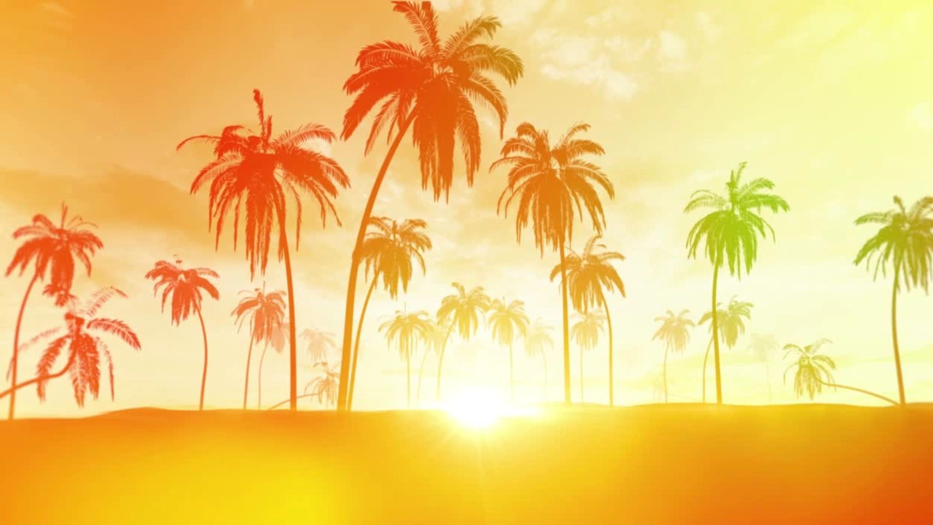 Virtual Tour | Little Miss Sunshine