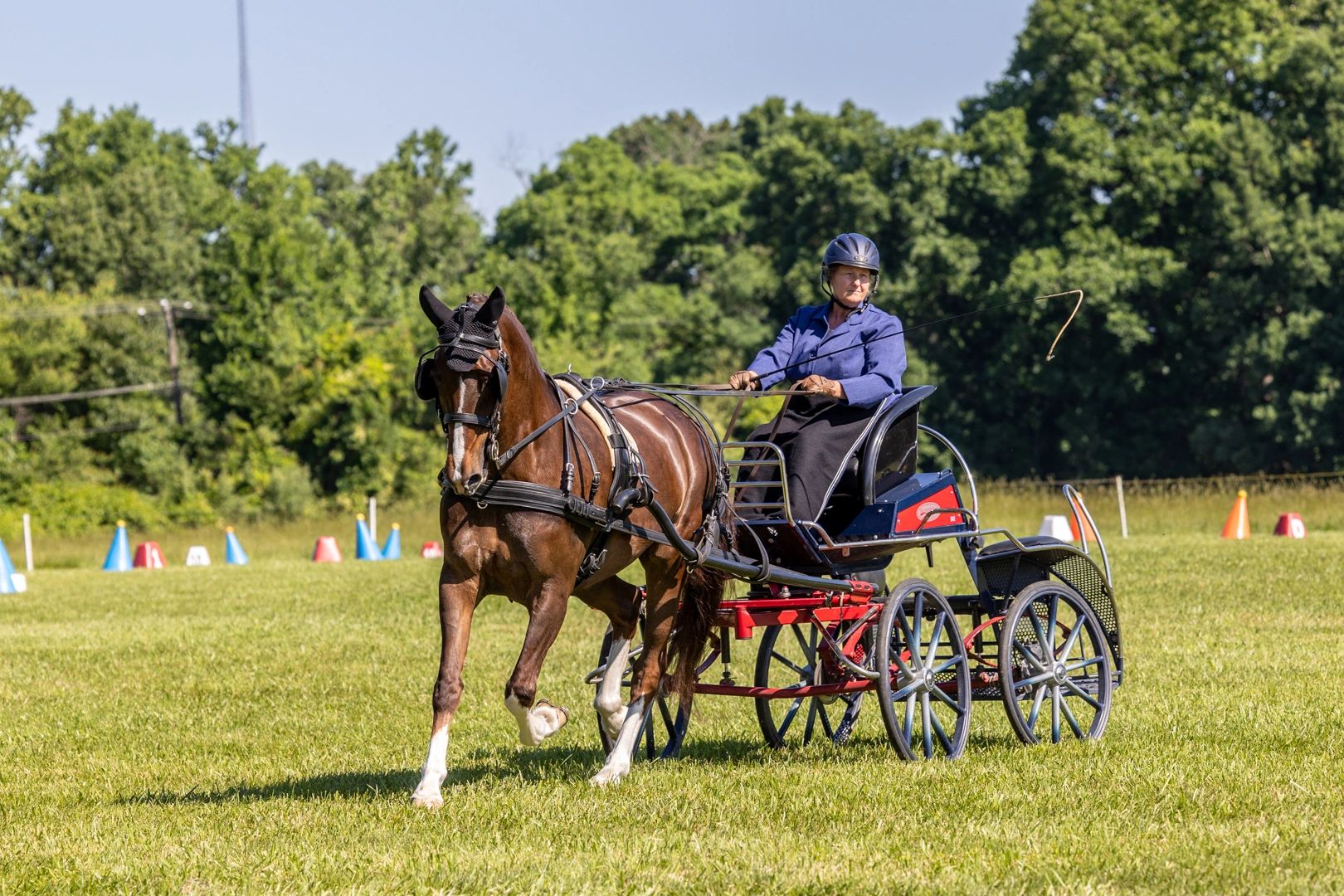 Elk Creek Combined Driving Event - Combined Driving, Carriage Driving