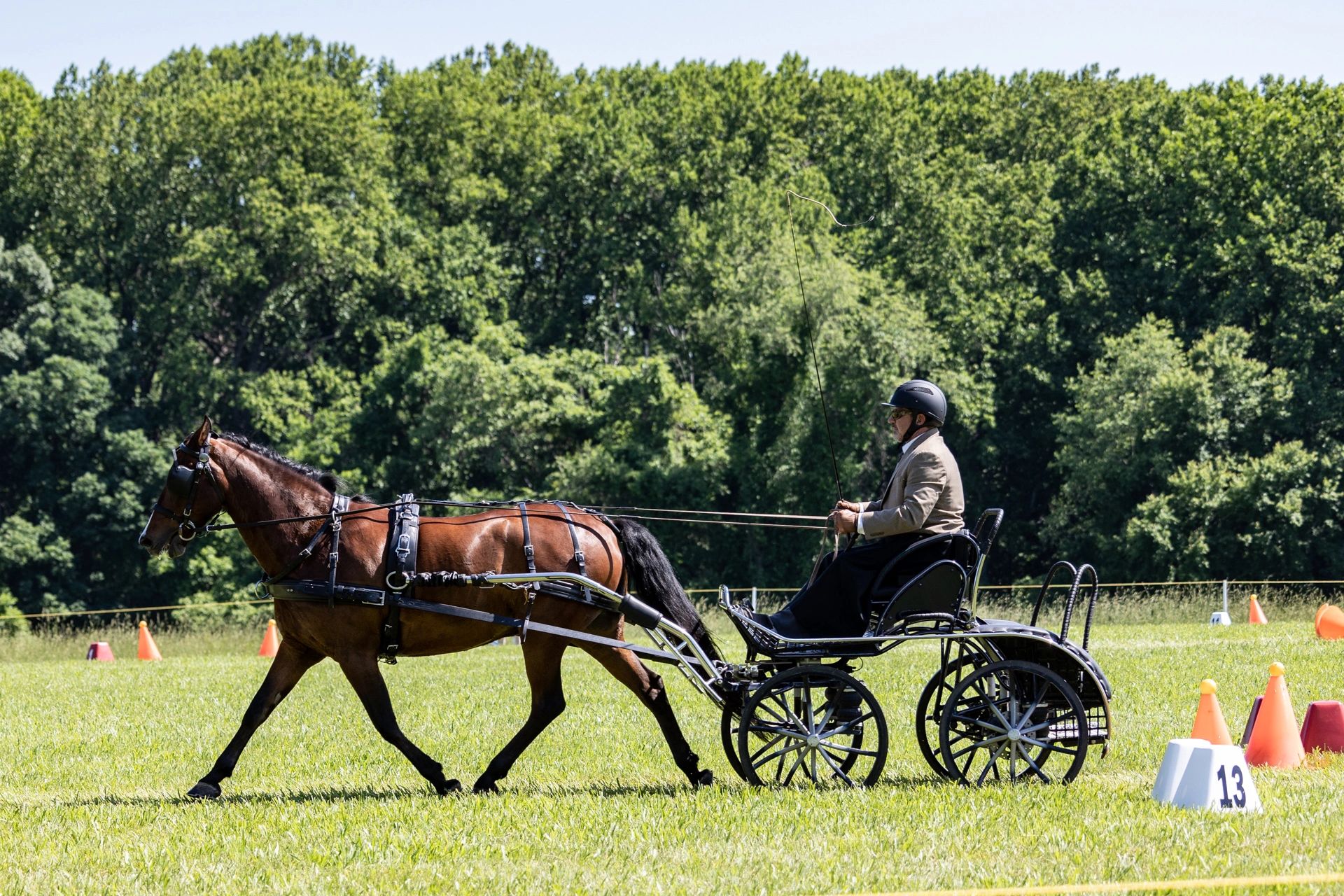 Elk Creek Combined Driving Event - Combined Driving, Carriage Driving