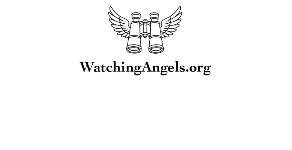 Discover Night Vision Angel Watching Techniques